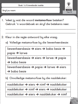 Graad 3 - Kriewelende insekte - Oxford University Press Southern Africa