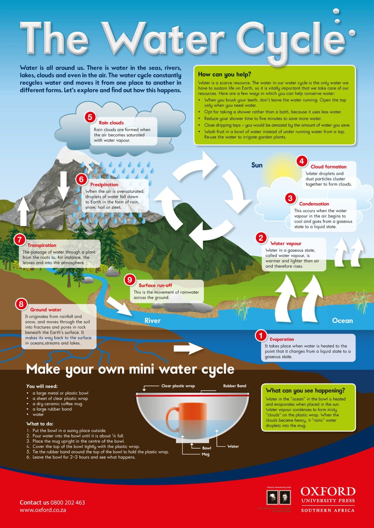 The Oxford Water Cycle Poster - Oxford University Press Southern Africa